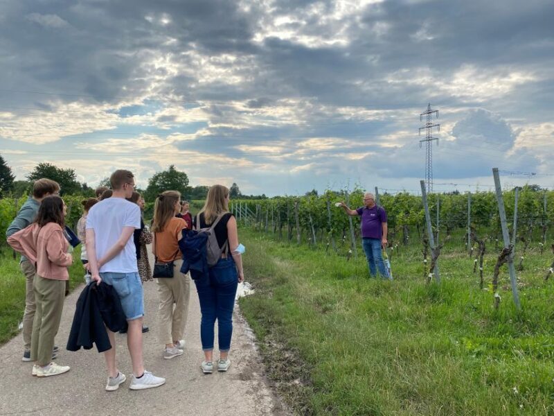 Stuttgart: Wine Tour with wines of the best winemakers - Stuttgart: Wine Tour with Wines of the Best Winemakers