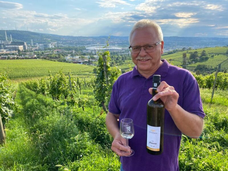 Stuttgart: Wine Tour with wines of the best winemakers - Final Thoughts: Is It Worth It?