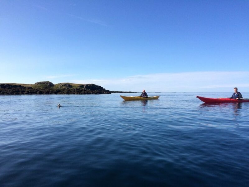 Stykkishólmur: 2-Hour Sea Kayak Tour - Key Points