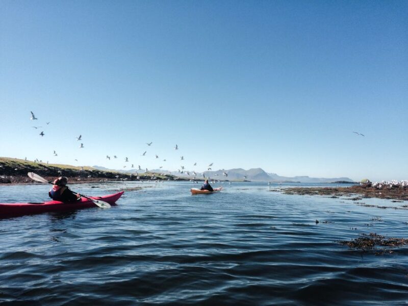 Stykkishólmur: 2-Hour Sea Kayak Tour - Why Choose the Stykkishólmur Sea Kayak Tour?