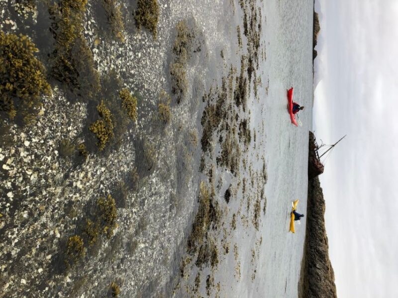Stykkishólmur: 2-Hour Sea Kayak Tour - Analyzing the Value