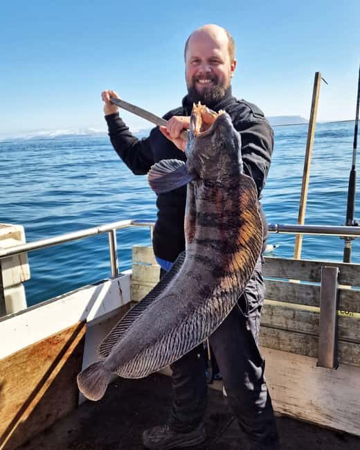 Stykkishólmur: Sea Angling Tour with Local Guide - A Deep Dive into the Experience