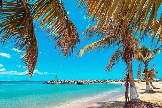 Stylish Airport Transfers in San Juan - Real Experiences: What Travelers Say