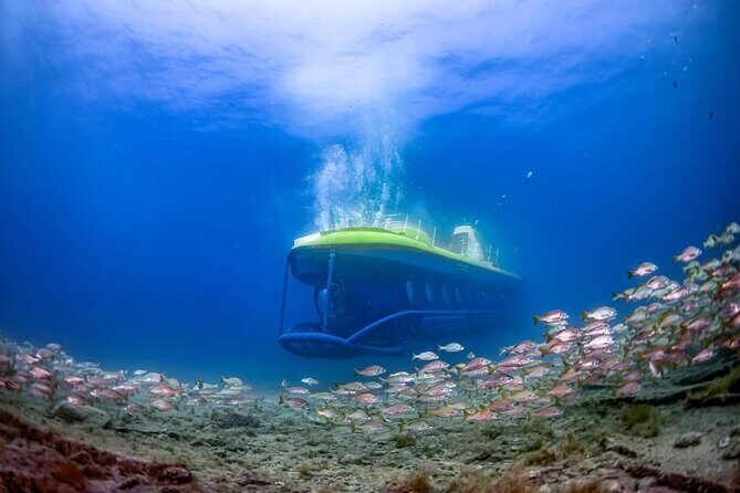 SUBMARINE ADVENTURE - Submarine Excursion in Puerto de Mogán - The Full Experience: What You’ll See and Do