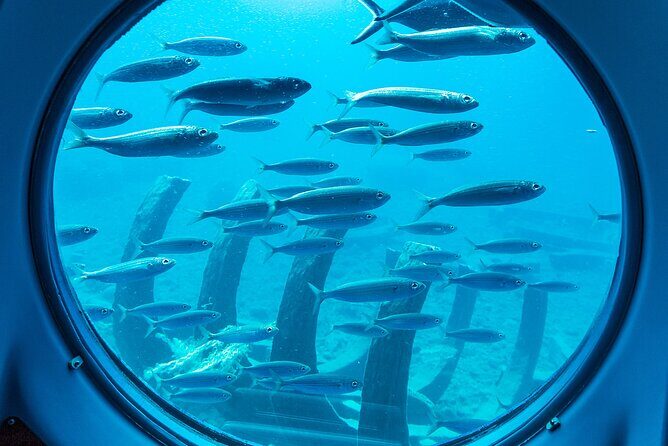 SUBMARINE ADVENTURE - Submarine Excursion in Puerto de Mogán - Final Thoughts