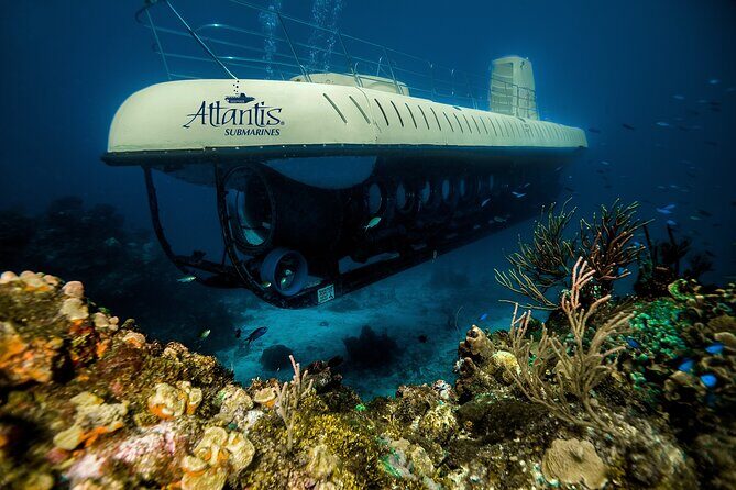 Submarine Atlantis Cozumel Adventure by day & sunset - Pricing & Value Analysis
