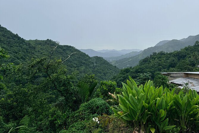 Sueños de Cafe - A Coffee Lovers Dream - What Travelers Say