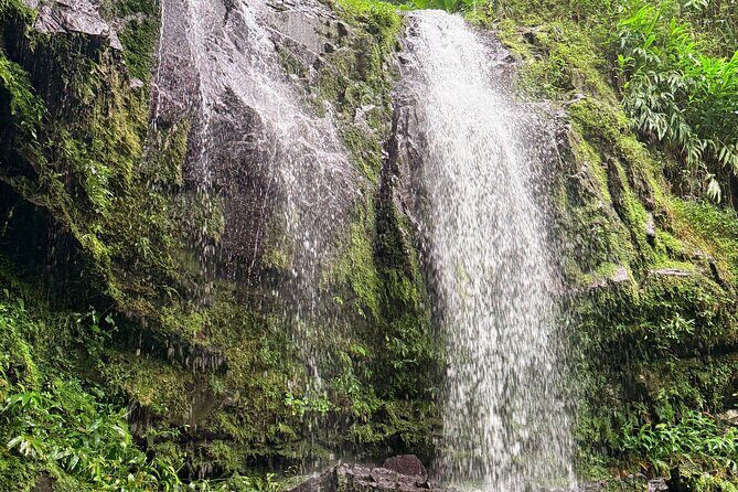 Sueños de Cafe - A Coffee Lovers Dream - FAQs