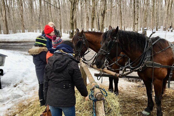 Sugar Shack (Feb to May) Maple Syrup Private Day Tour with lunch from Montreal - Practical Details and Tips