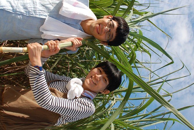 Sugarcane cutting experience with Okinawa's grandfather - Final Thoughts