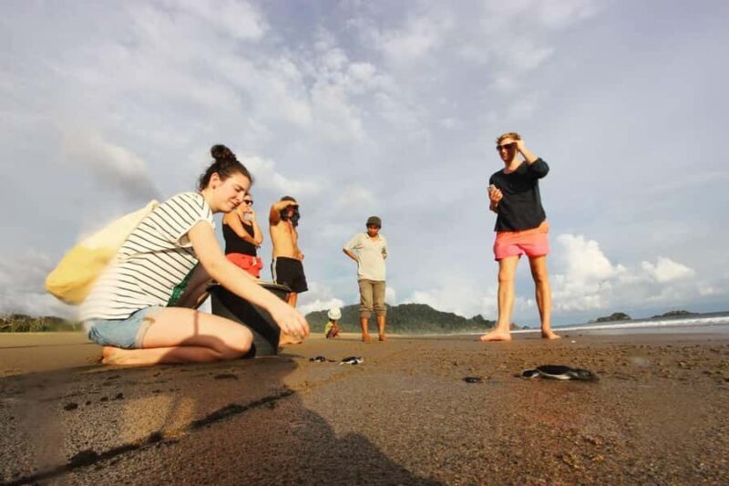Sukamade: A Private Tour To See Turtle Lay Egg (2D/1N) - Summary: Is This Tour Right for You?