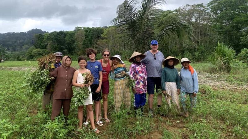 Sukamade Observation Turtle Tour - Key Points