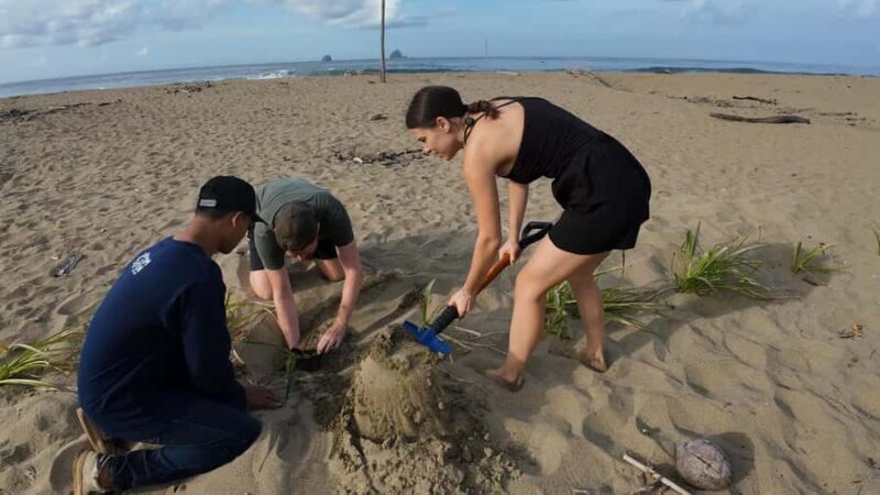 Sukamade Observation Turtle Tour - An In-Depth Look at the Sukamade Turtle Tour