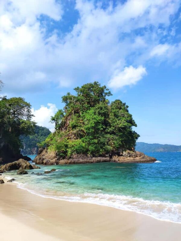 Sukamade Turtle Beach Adventure  Into East Java - What to Expect from the Sukamade Turtle Beach Tour