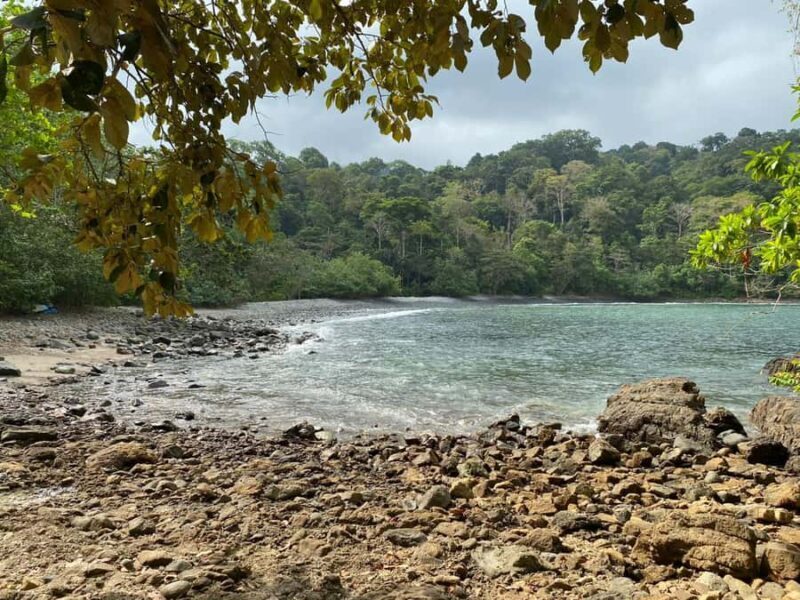 Sukamade Turtle Beach Adventure  Into East Java - Final Thoughts