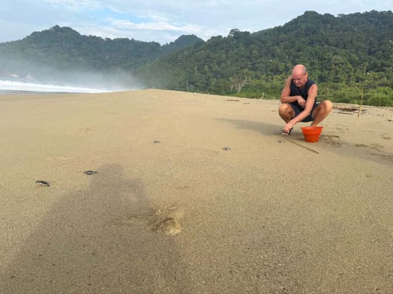 Sukamade: Turtle Expedition & MeruBetiri Jungle Adventure - Key Points