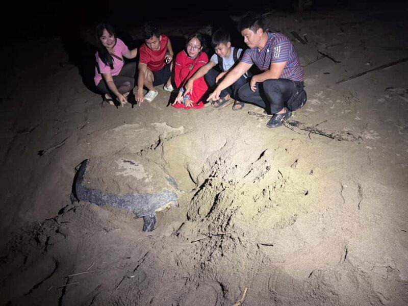 Sukamade: Turtle Expedition & MeruBetiri Jungle Adventure - Final Thoughts