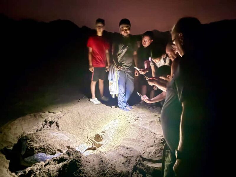 Sukamade: Turtle Expedition & MeruBetiri Jungle Adventure - FAQs