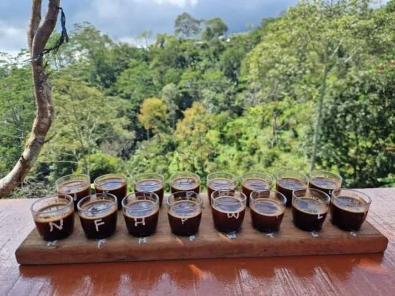 Sukawana Sunrise with Floating Temple & Kintamani Cafe Tour - FAQs