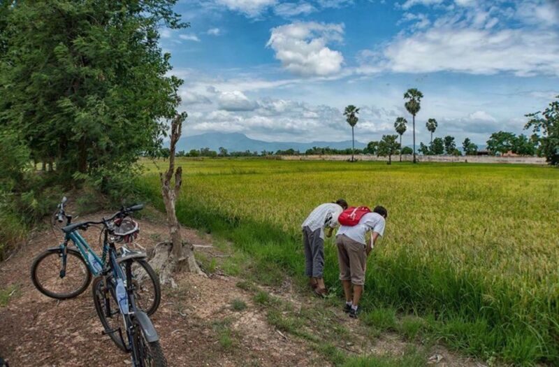 Sukhothai: Half-Day Countryside Bike Tour - A Word on Practicalities