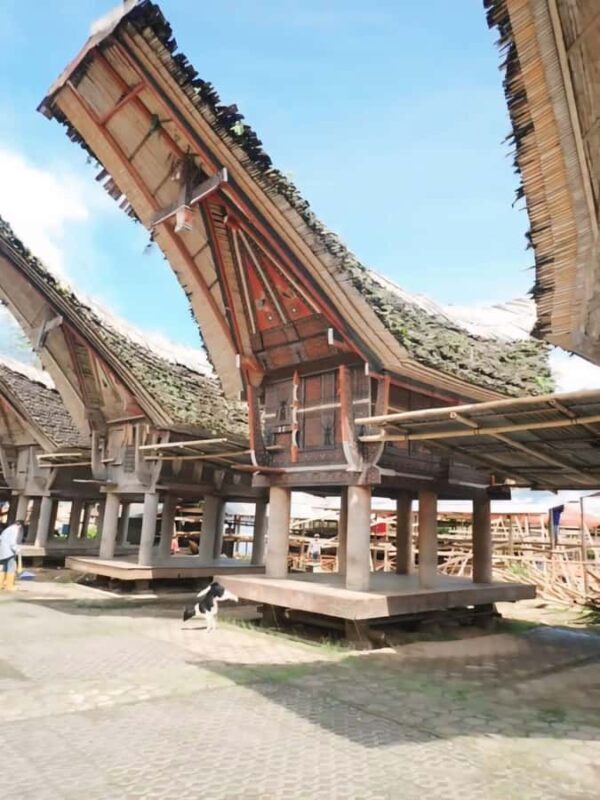 Sulawesi: Toraja Cultural Tour - Authentic Feedback from Travelers