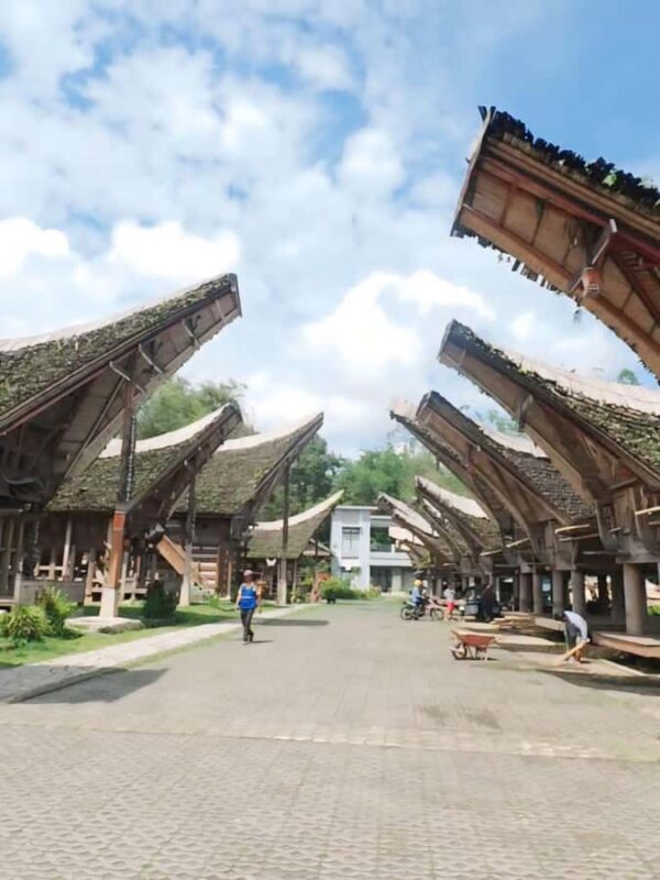 Sulawesi: Toraja Cultural Tour - Who Would Love This Tour?
