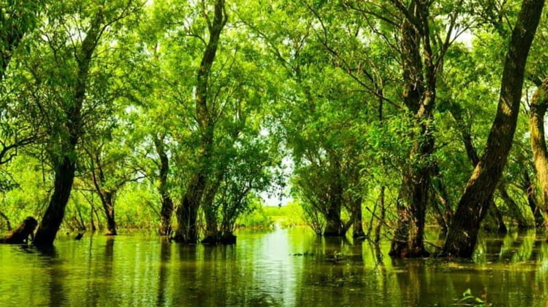 Sulina: Letea Forest Day Trip - A Full Breakdown of the Letea Forest Day Trip