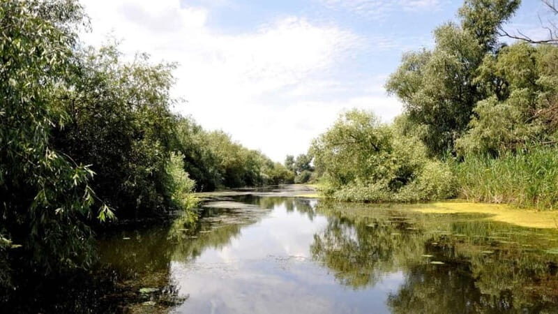 Sulina: Mila 23 Village Boat Trip in the Danube Delta - Key Points