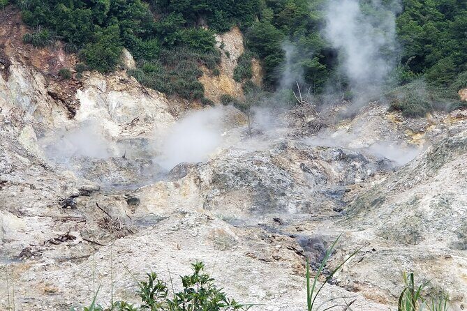 Sulphur Springs Tour - What to Expect from the Sulphur Springs Tour