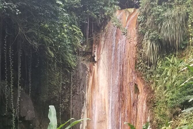 Sulphur Springs Tour - Why This Tour Could Be a Perfect Fit