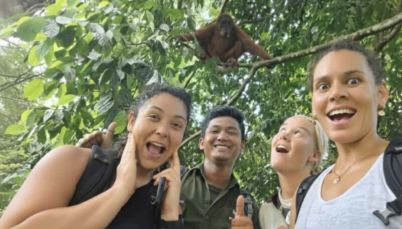 Sumatra : 2-Day Orangutan Trekking and River Tubing Tour - The Itinerary Breakdown