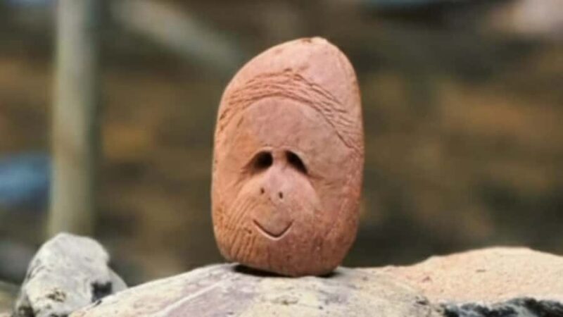 Sumatra Stone Stories : 2 Days Ethical Orangutan Trekking - Key Points