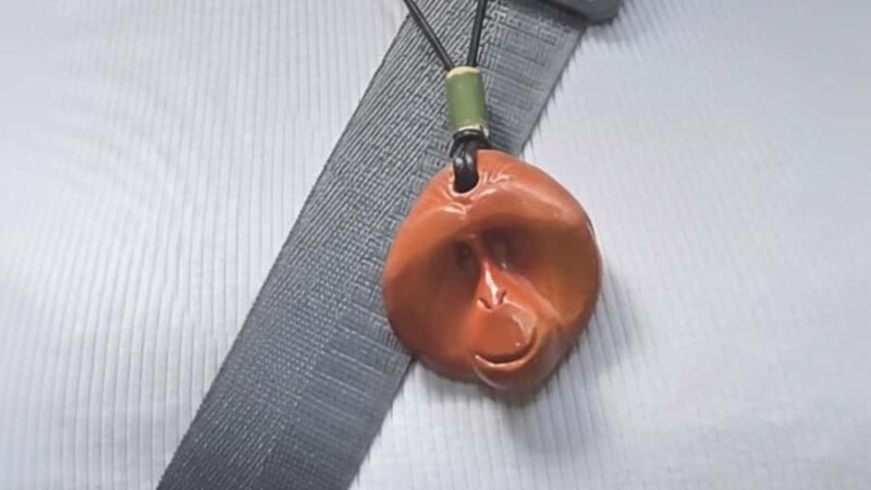 Sumatra Stone Stories : 2 Days Ethical Orangutan Trekking - The Sum Up