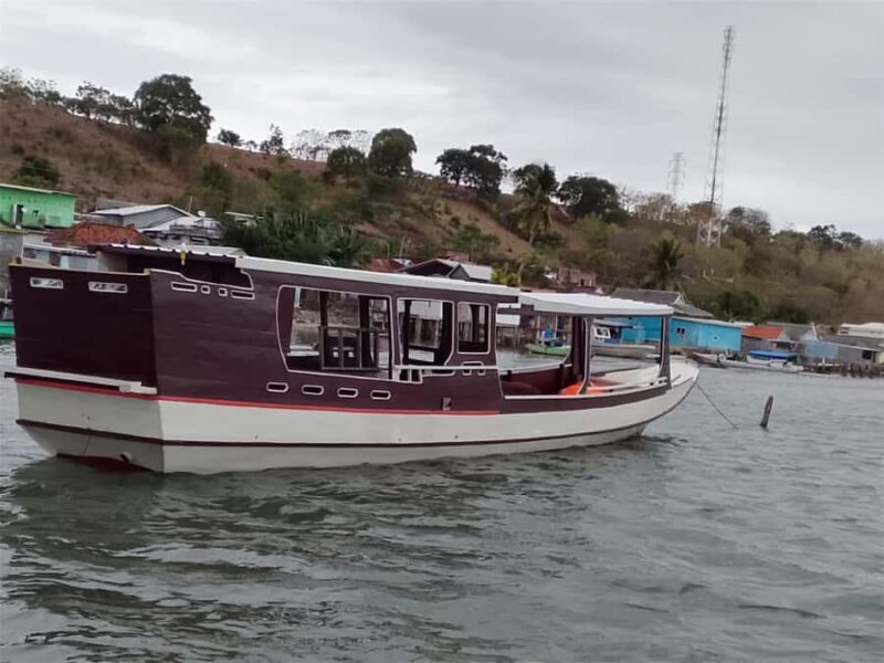 Sumbawa Besar: Whale Shark Snorkeling with Breakfast - The Sum Up