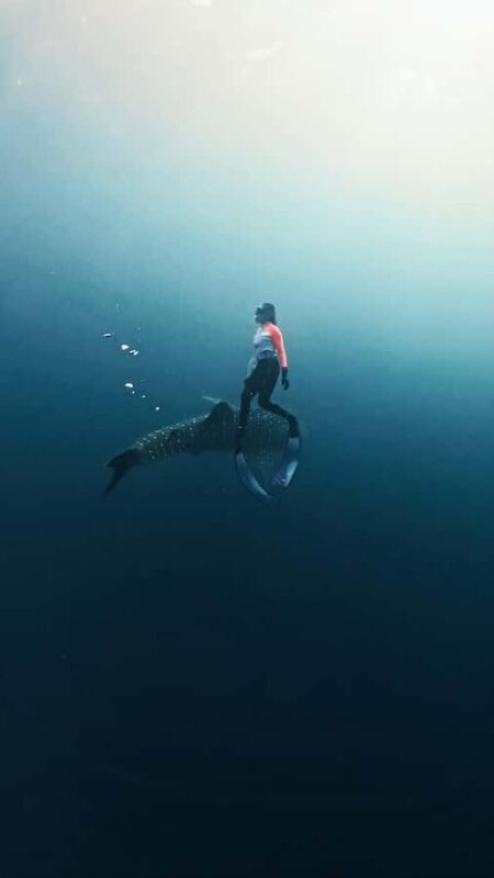 Sumbawa Package: Explore with Private or Shared Group - Transportation and Timing