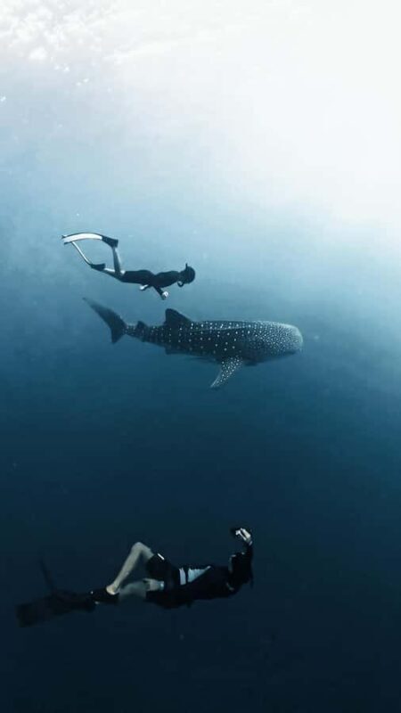 Sumbawa Package: Explore with Private or Shared Group - Practicalities and Considerations