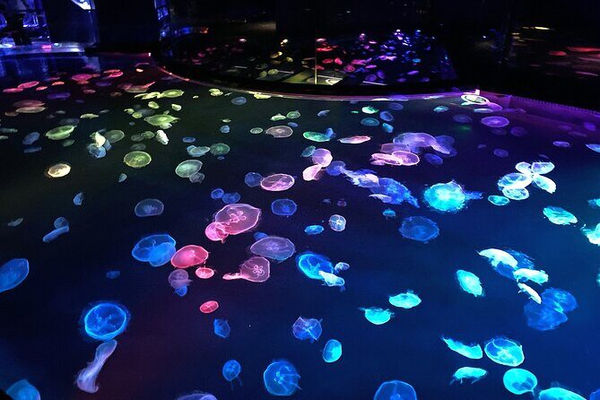 Sumida Aquarium Ticket Tokyo - Who Should Visit Sumida Aquarium?