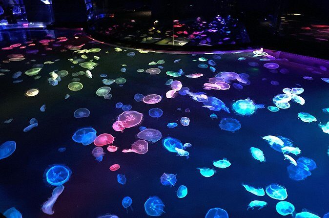 Sumida Aquarium Ticket Tokyo - FAQ