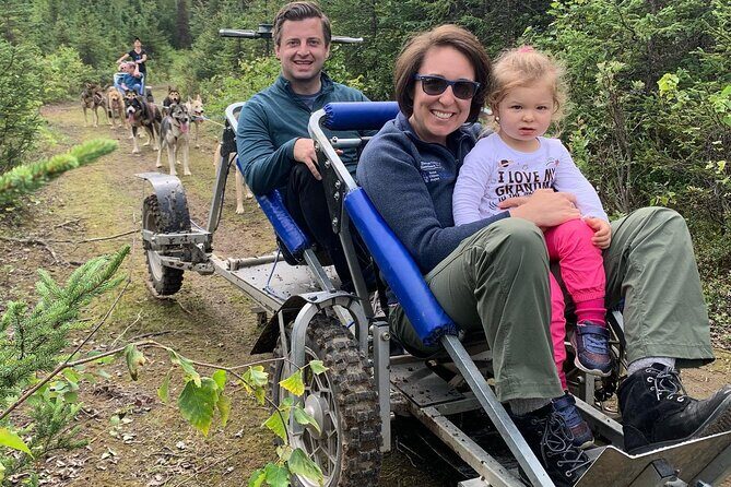 Summer Dog Sledding Adventure in Willow, Alaska - An In-Depth Look at the Experience