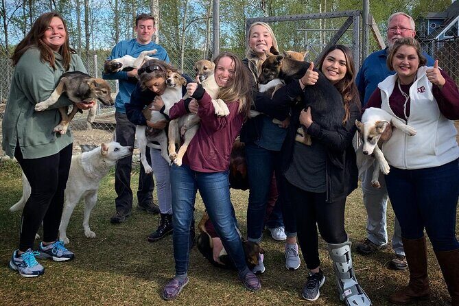 Summer Dog Sledding Adventure in Willow, Alaska - FAQ