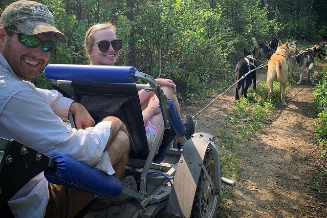 Summer Dog Sledding Adventure in Willow, Alaska - The Views and the Atmosphere