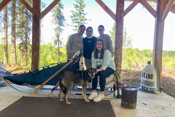 Summer Dog Sledding Adventure in Willow, Alaska - The Bottom Line: Who Is This Tour Best For?