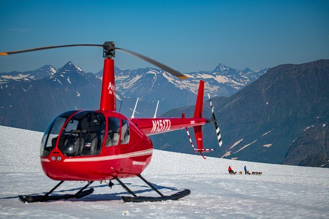 Summer Glacier Dogsledding Tour from Girdwood - Authenticity and Value