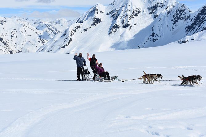 Summer Glacier Dogsledding Tour from Girdwood - What Do Travelers Say?