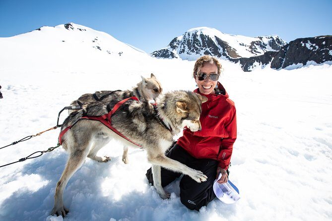 Summer Glacier Dogsledding Tour from Girdwood - Concluding Thoughts