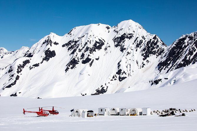 Summer Glacier Dogsledding Tour from Girdwood - FAQ