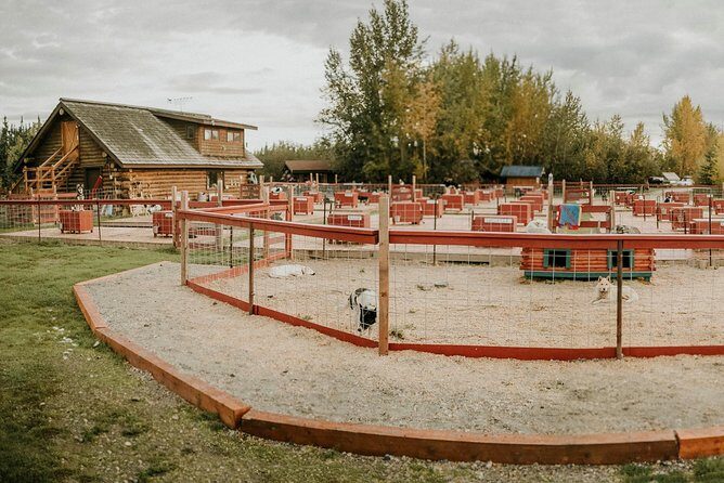 Summer Kennel Visit at Historic Trail Breaker Kennel - Key Points