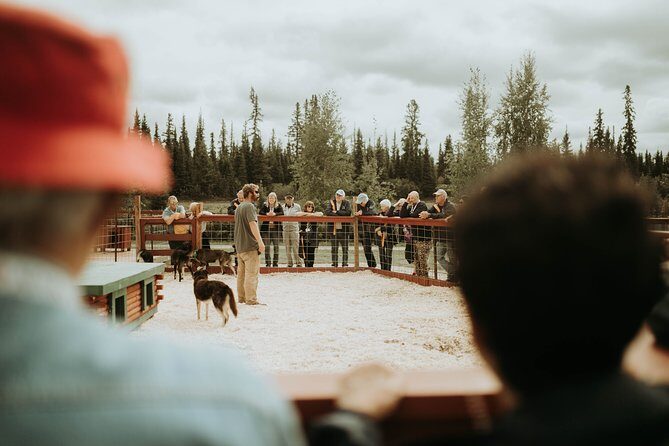 Summer Kennel Visit at Historic Trail Breaker Kennel - The Practical Side: What You Should Know
