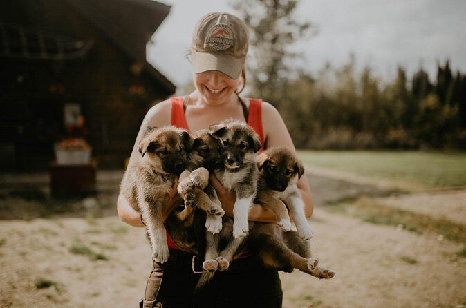 Summer Kennel Visit at Historic Trail Breaker Kennel - Final Thoughts