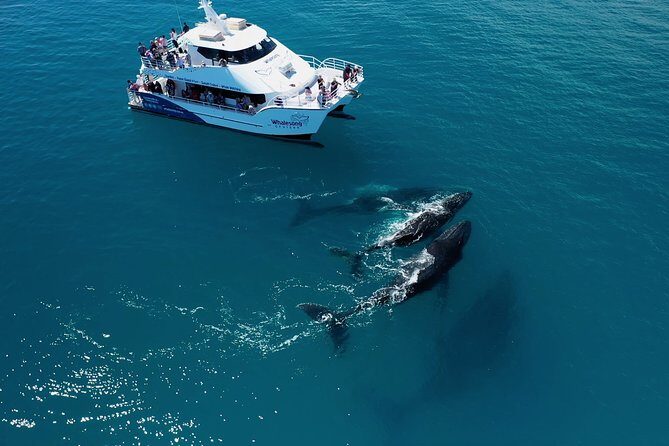 SUMMER K'gari (Fraser Island) Boom-net & Sightseeing Cruise - Frequently Asked Questions